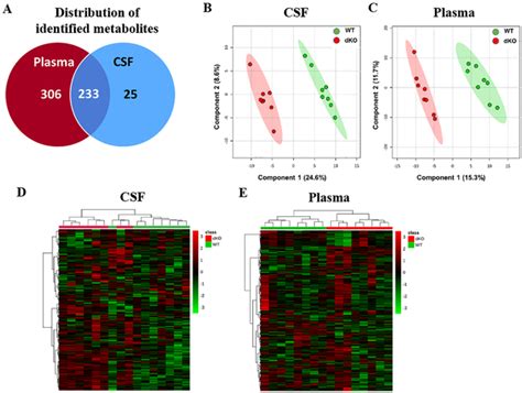 Metabolomic And Transcriptomic Analysis Reveals Endogenous 53 Off