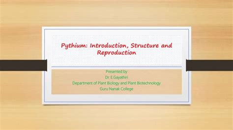 Pythium Ppt