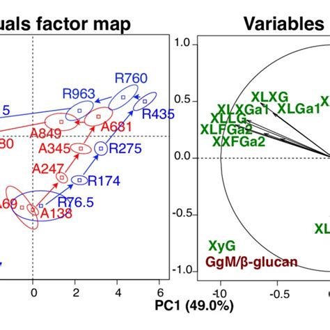 Principal Component Analysis Of Maldi Tof Ms Ions Corresponding To Download Scientific Diagram