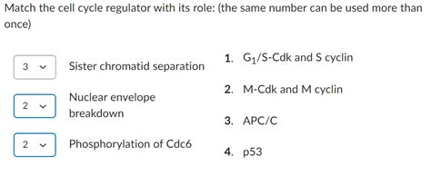Solved Match The Cell Cycle Regulator With Its Role The