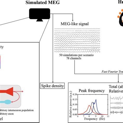 Simplified Illustration Of Data Generation And Analyses Of Simulated Download Scientific