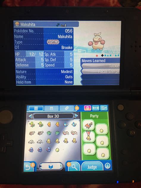 [3] After I Hatch A Shiny Zigzagoon Earlier The 5th Egg And I Have Another Shiny What Is Up