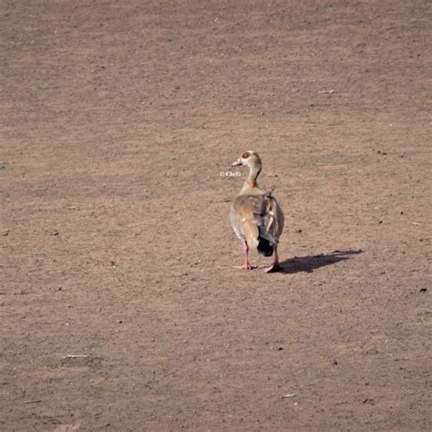 Letseng La Letsie Quthing District 2022 What To Know Before You Go With Photos Tripadvisor