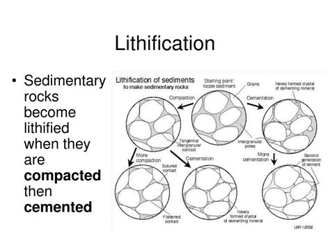 Ppt Sedimentary Rocks Powerpoint Presentation Free Download Id6119318