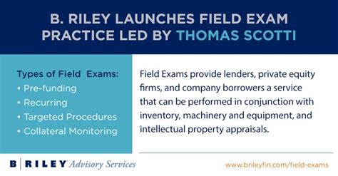 david seiden on linkedin field examination services