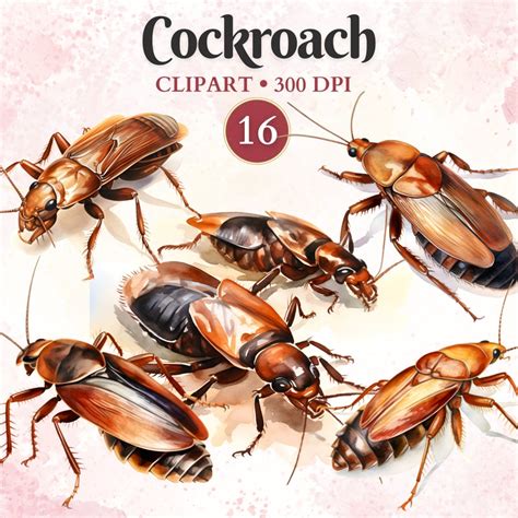 Cockroach Etsy