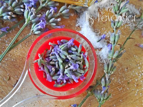 Caramel And Candles Diy Levander Body Scrub