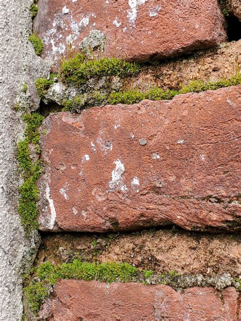 Spalling And Exploding Bricks Part Ii