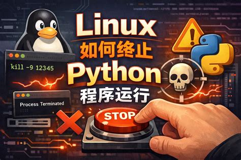 Linux如何终止python程序运行