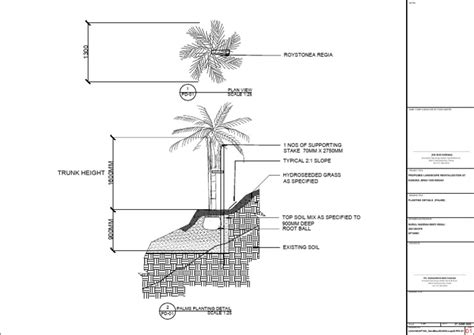 Softscape Detail 01 Pdf Botany Plants