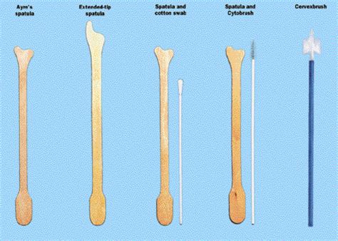 Swab Test Vs Pap Smear At Aimee Garcia Blog
