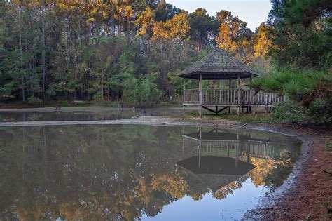 Louisiana Nature Trail Near St Francisville The Heart Of Louisiana