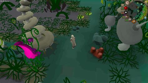 Osrs The Best Woodcutting Locations Ranked Gaming Gorilla