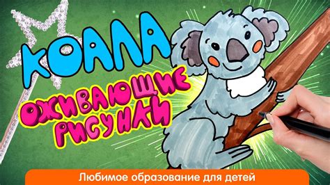 Рисуем коалу Рисунок для детей 6 лет Youtube
