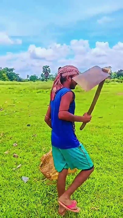 শাশুড়িকে নিয়ে পালালো জামাই🤣 Funnfails Youtube