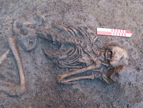 Zaštitna Arheološka Istraživanja Na Lokalitetu Mogila Cigansko Brdo Donela Su Interesantna