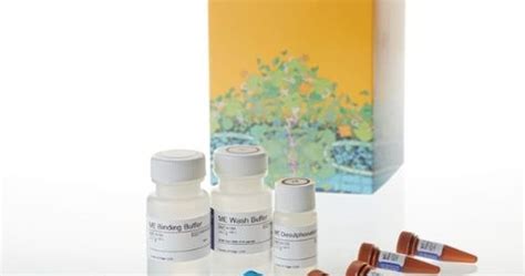 Methyledge™ Bisulfite Conversion System