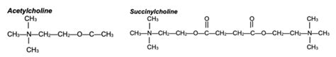 Succinylcholine Openanesthesia
