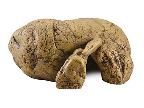 6 Best Ball Python Hides Best Hiding Houses Mypetcarejoy