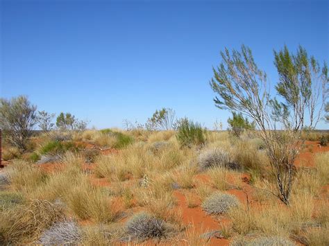 Desert Red Sand Australian Outback Free Photo On Pixabay