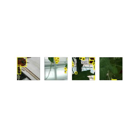 Object Detection Tutorial — Deepchecks Documentation