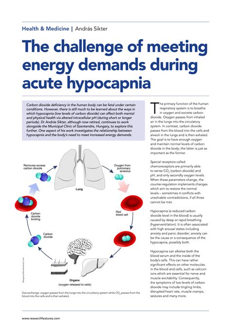 Pdf The Challenge Of Meeting Energy Demands During Acute Hypocapnia