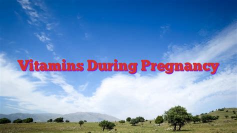 Vitamins During Pregnancy •