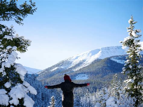 45mm 감기 겨울 겨울 동화나라 겨울 배경 경치 경치가 좋은 고요한 고요한 광경 공기 관광 광야 광야 체험 껴안다 나무 놀라운 놀라운 렌즈