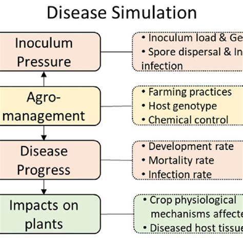 Stylised Plant Disease Framework Showing Factors Influencing Host Download Scientific Diagram
