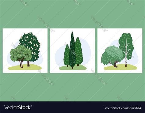 Set Green Trees Bushes Collection Royalty Free Vector Image