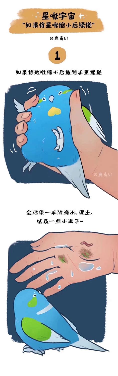星啾宇宙rua星球小鸟会怎么样呢超级可爱的科普短漫 作者鹿易61