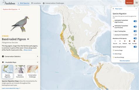 Bird Migration Explorer — Whittier Area Audubon Society