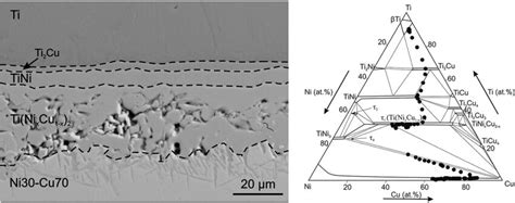 Left The Microphotography Showing Grown Intermetallic Phases Right