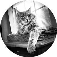 Password Generator Not Working Properly Microsoft Community
