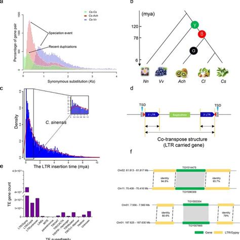 Pdf Gene Mining And Genomics Assisted Breeding Empowered By The