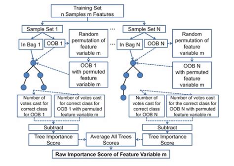 a diagram of the out of bag feature importance calculation procedure