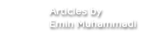 Articles By Emin Muhammadi
