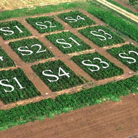 Plot Layout Of The Sorghum Irrigation Experiment Numbers Inside Plots Download Scientific
