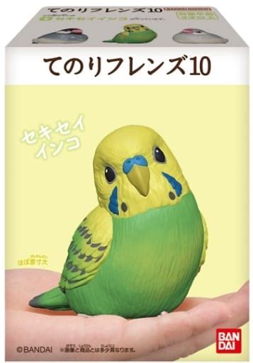 1 Budgerigar Tenori Friends 10 Goods Accessories Suruga