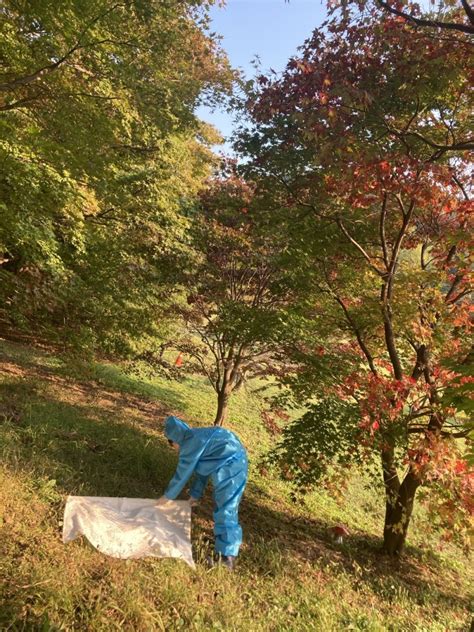 청남대 잔디밭 진드기 매개 감염병 안전 파이낸셜뉴스