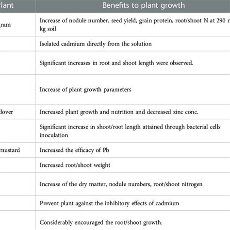 Diagrammatic Representation Of The Whole Process Of Nodule Formation