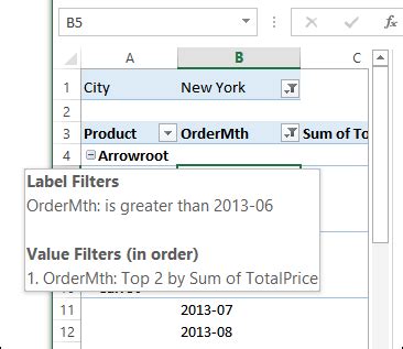 Apply Multiple Filters On A Pivot Field Excel Pivot Tables