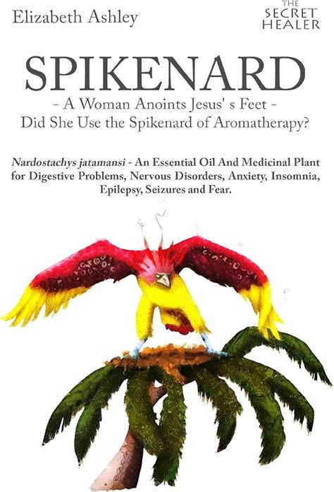 Mary Mary And Secret Feet