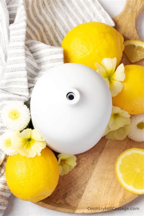 Lemon Diffuser Blends 13 Lemon Essential Oil Blends