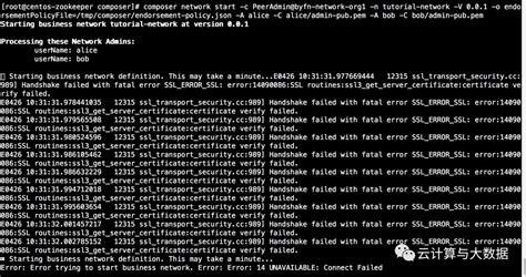 区块链中fabric多组织部署错误的示例分析 云计算 亿速云