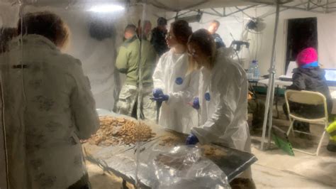 Andrzej Ossowski On Linkedin Treblinka Dna Forensic Database Research Dvi