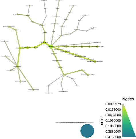 Analyzing The Genomic And Taxonomic Composition Of An Environmental