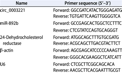 Primer Sequences Used For Reverse Transcription Quantitative Polymerase