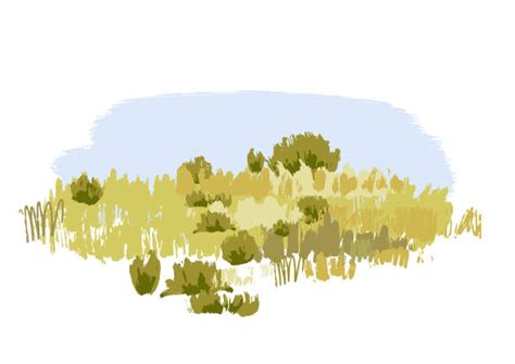 Prairie Grass Illustrations Royalty Free Vector Graphics And Clip Art