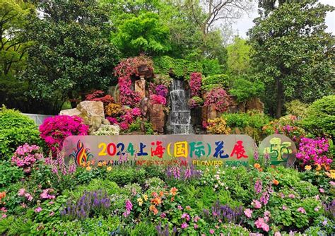 全城联动，开放布展！2024年上海（国际）花展4月18日绽放申城